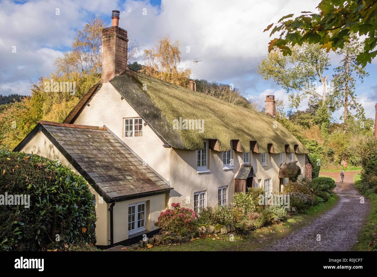 Thatched cottages in the attractive village of Dunster, Exmoor National ...