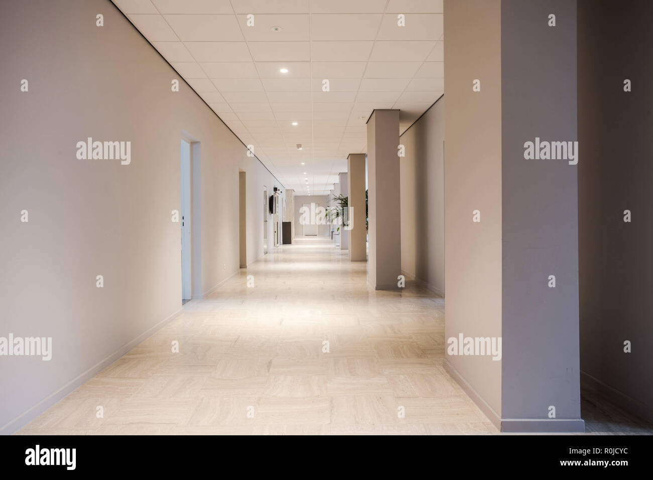 Long office hallway modern design, empty and clean interior Stock Photo ...