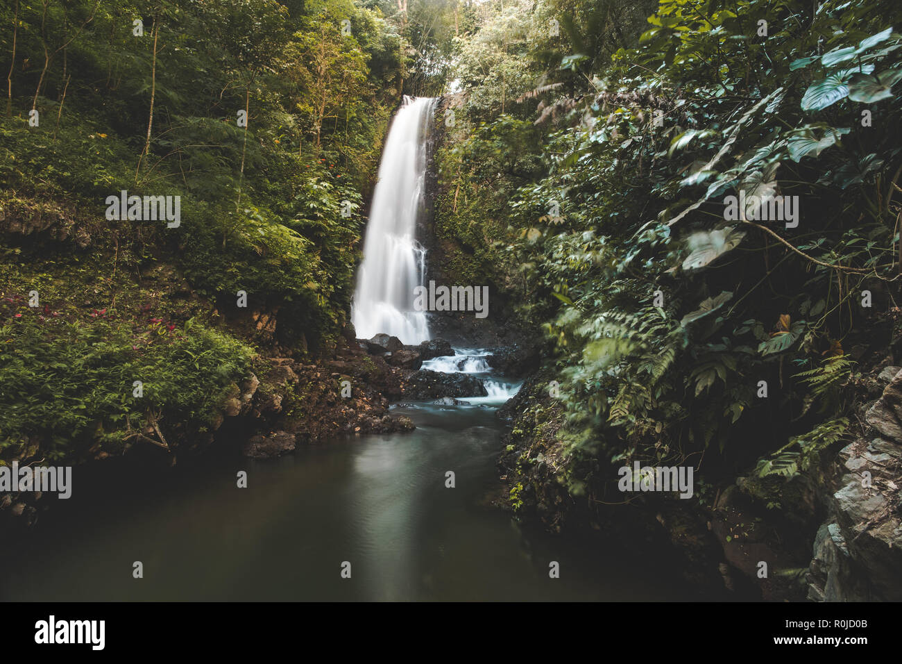 Falling water cascade waterfall, green jungle landscape, Bali. Gorgeous ...