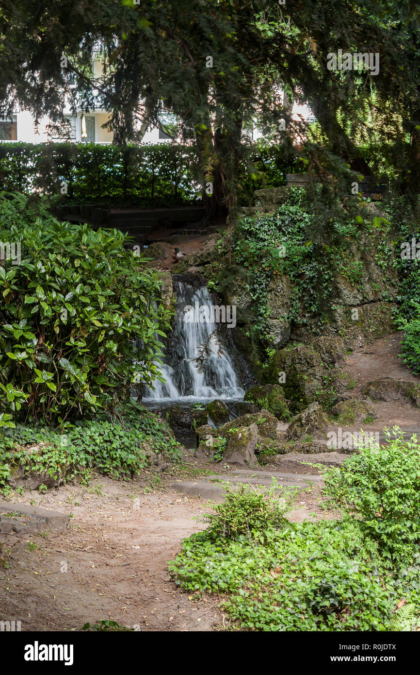 Beautiful park scene in public park with green grass field, green tree ...