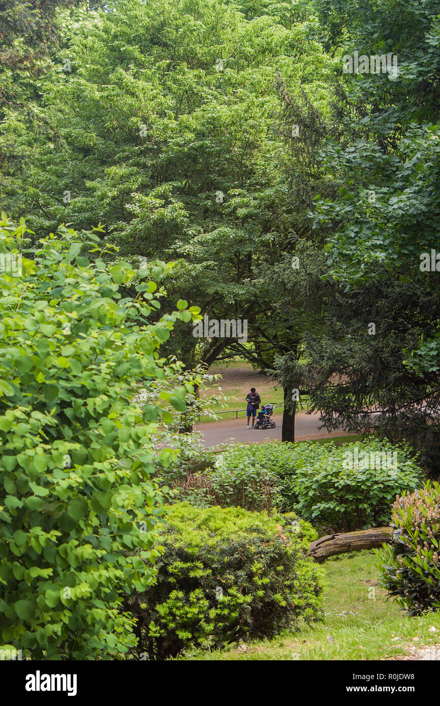 Beautiful park scene in public park with green grass field and green ...