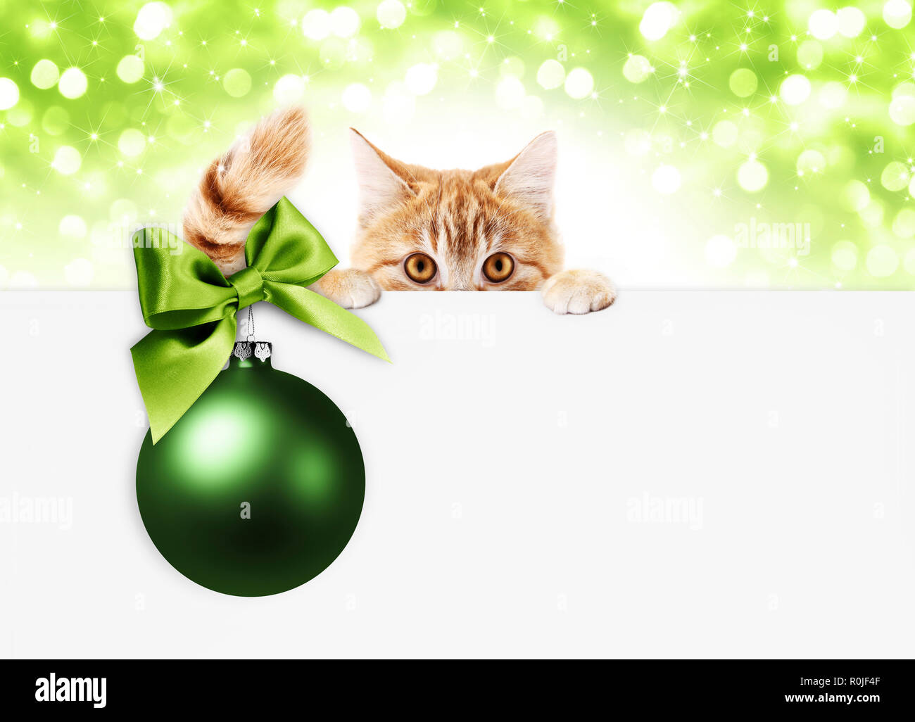christmas ginger cat gift card with green ball and bright ribbon bow ...