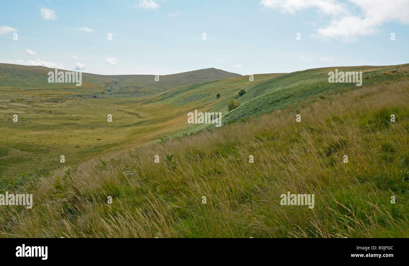 Oke Tor on Dartmoor, Devon Stock Photo - Alamy