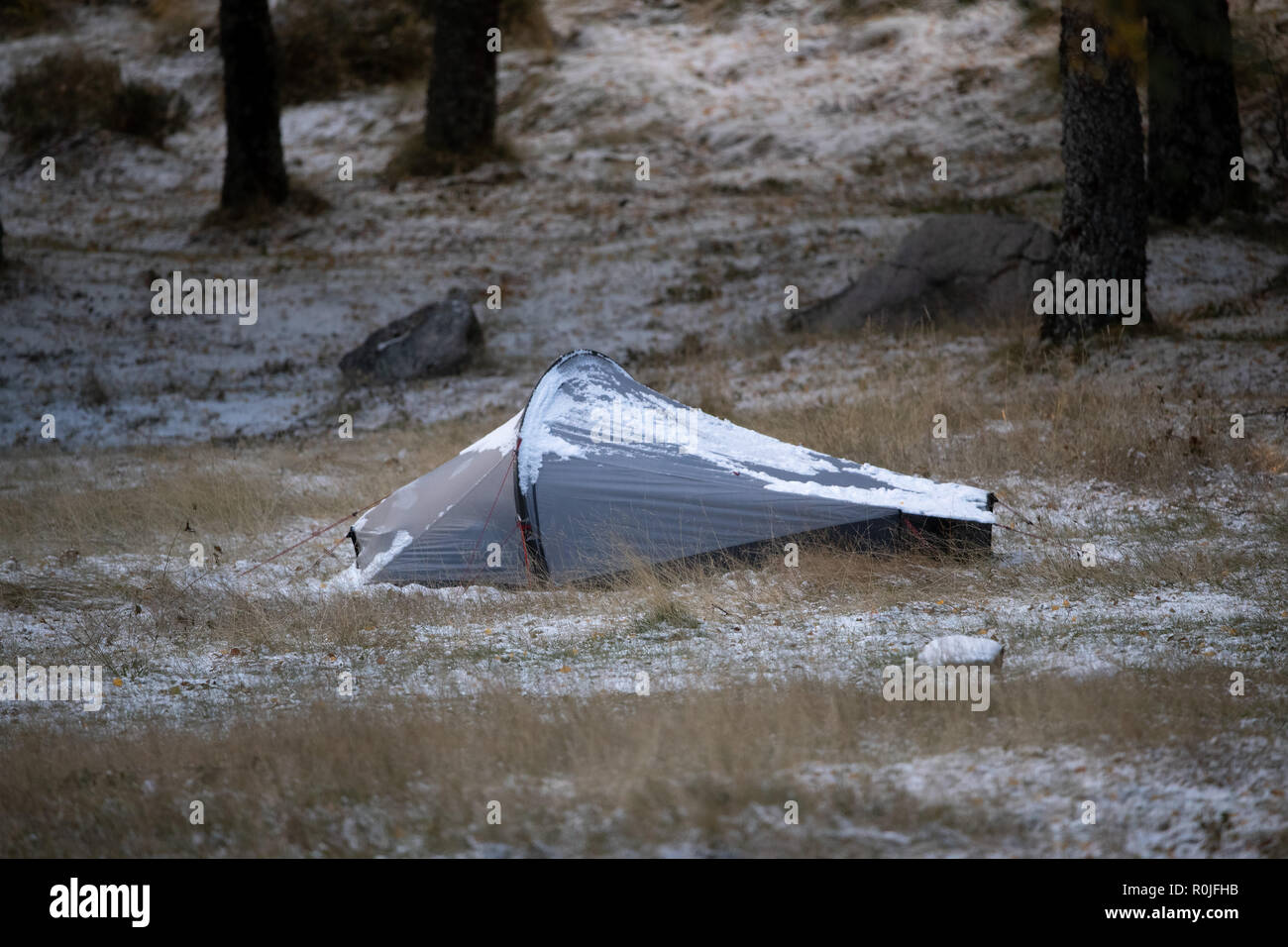 Camping tent covered in snow in the winter Stock Photo - Alamy