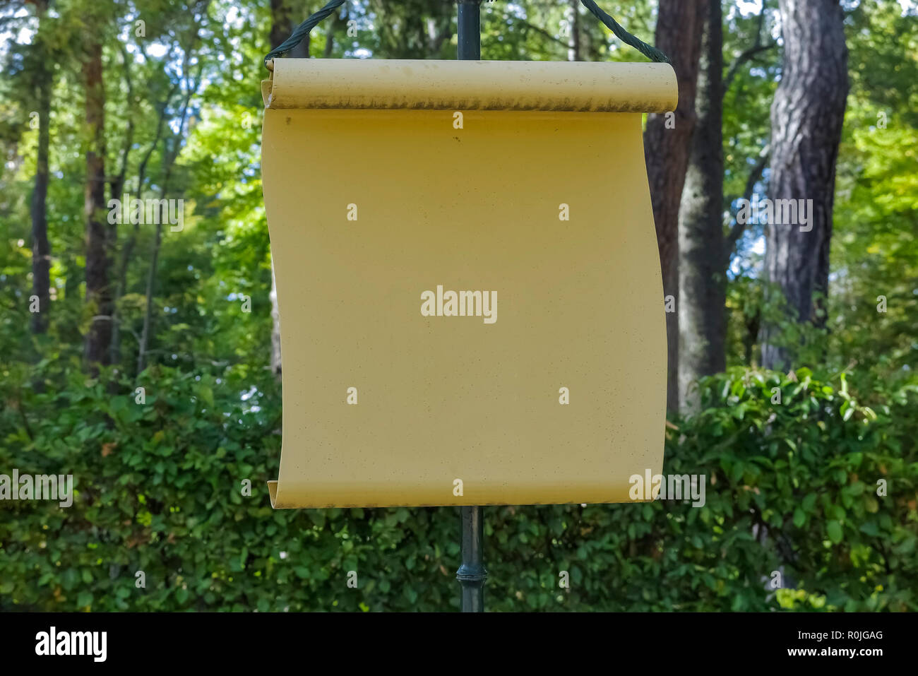 Parchement hi-res stock photography and images - Alamy