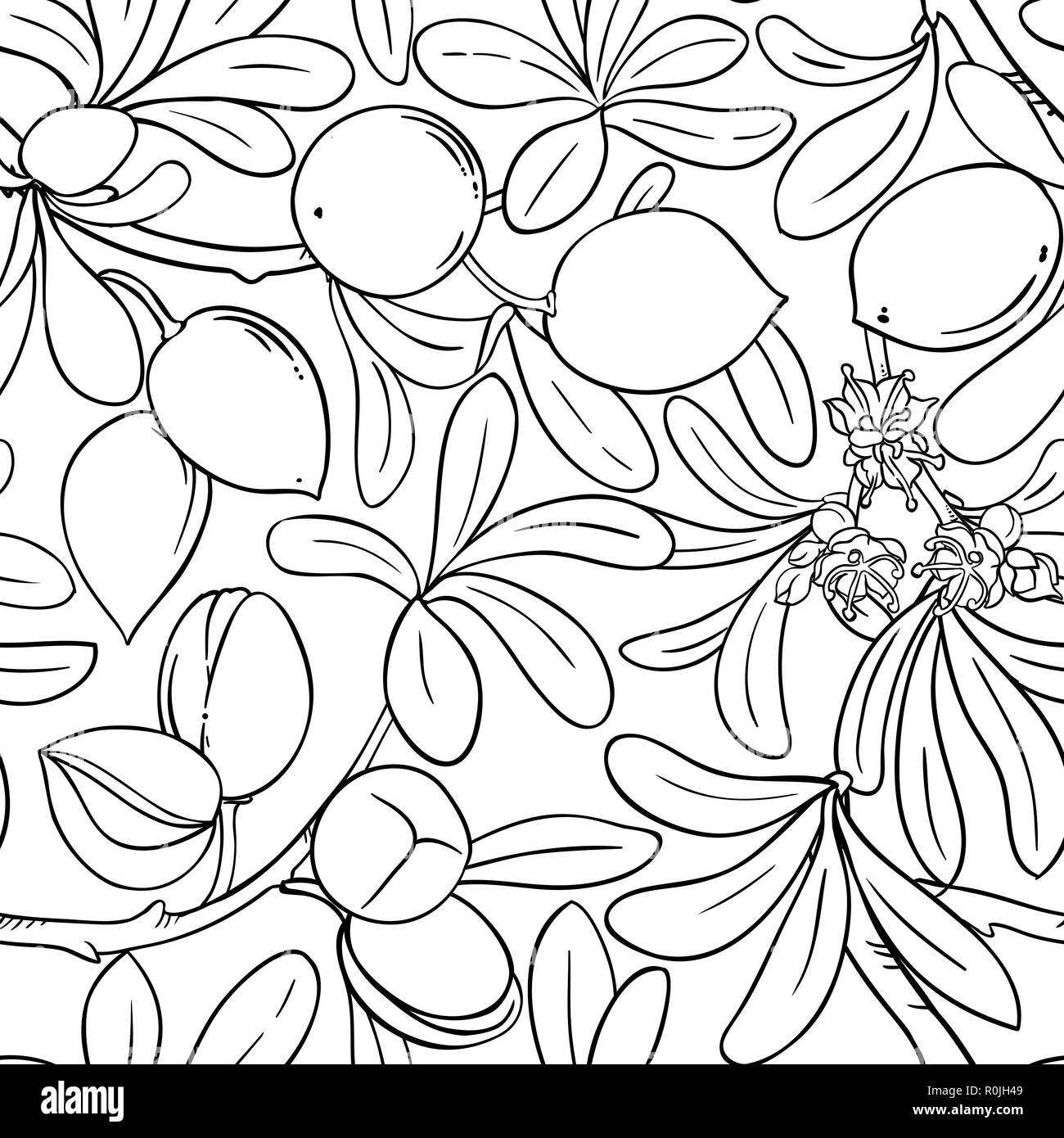 argan vector pattern on white background Stock Vector Image & Art - Alamy