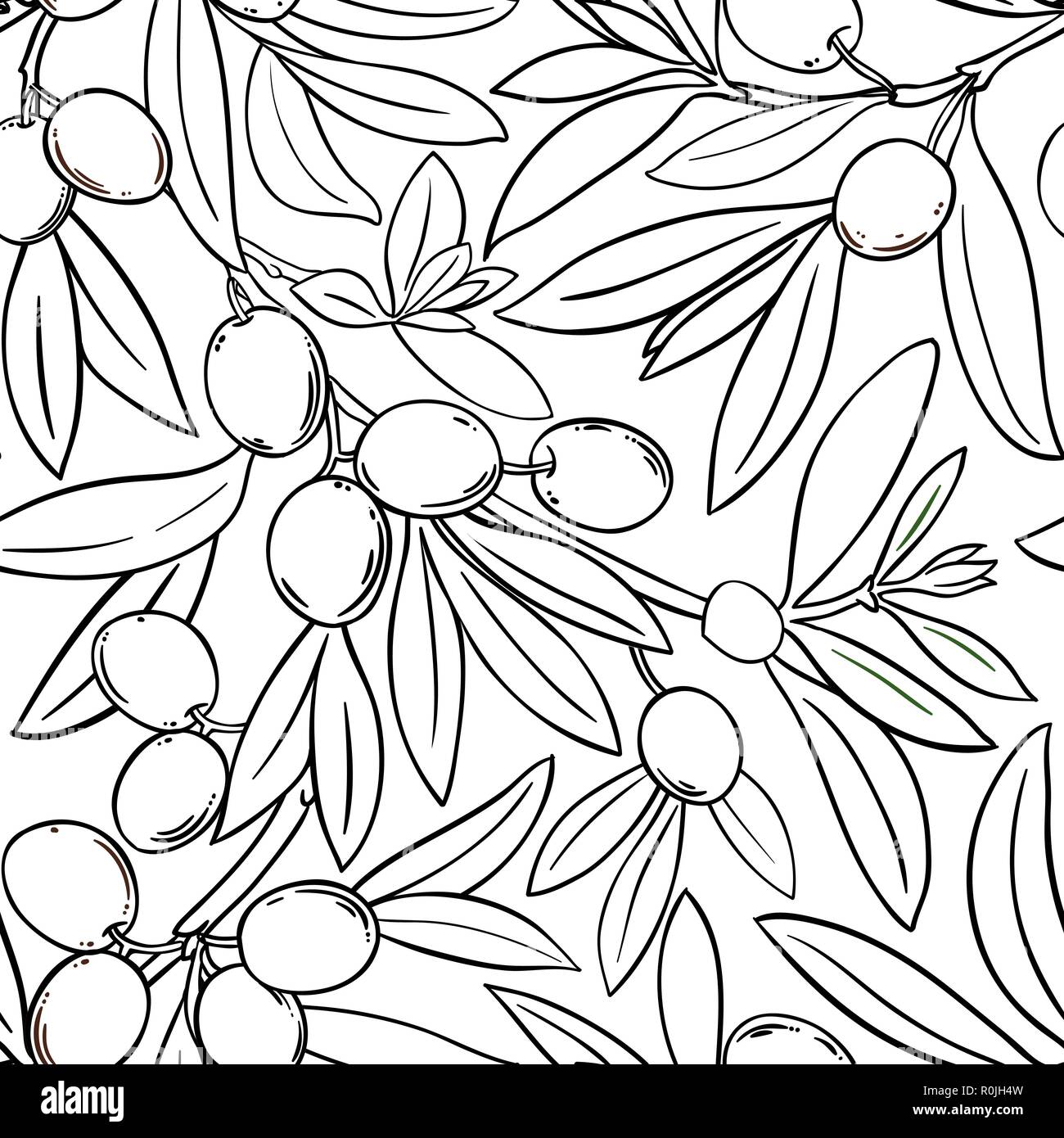 olive vector pattern on white background Stock Vector Image & Art - Alamy
