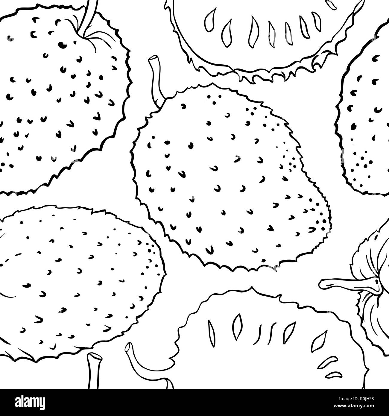 soursop vector pattern on white background Stock Vector Image & Art - Alamy