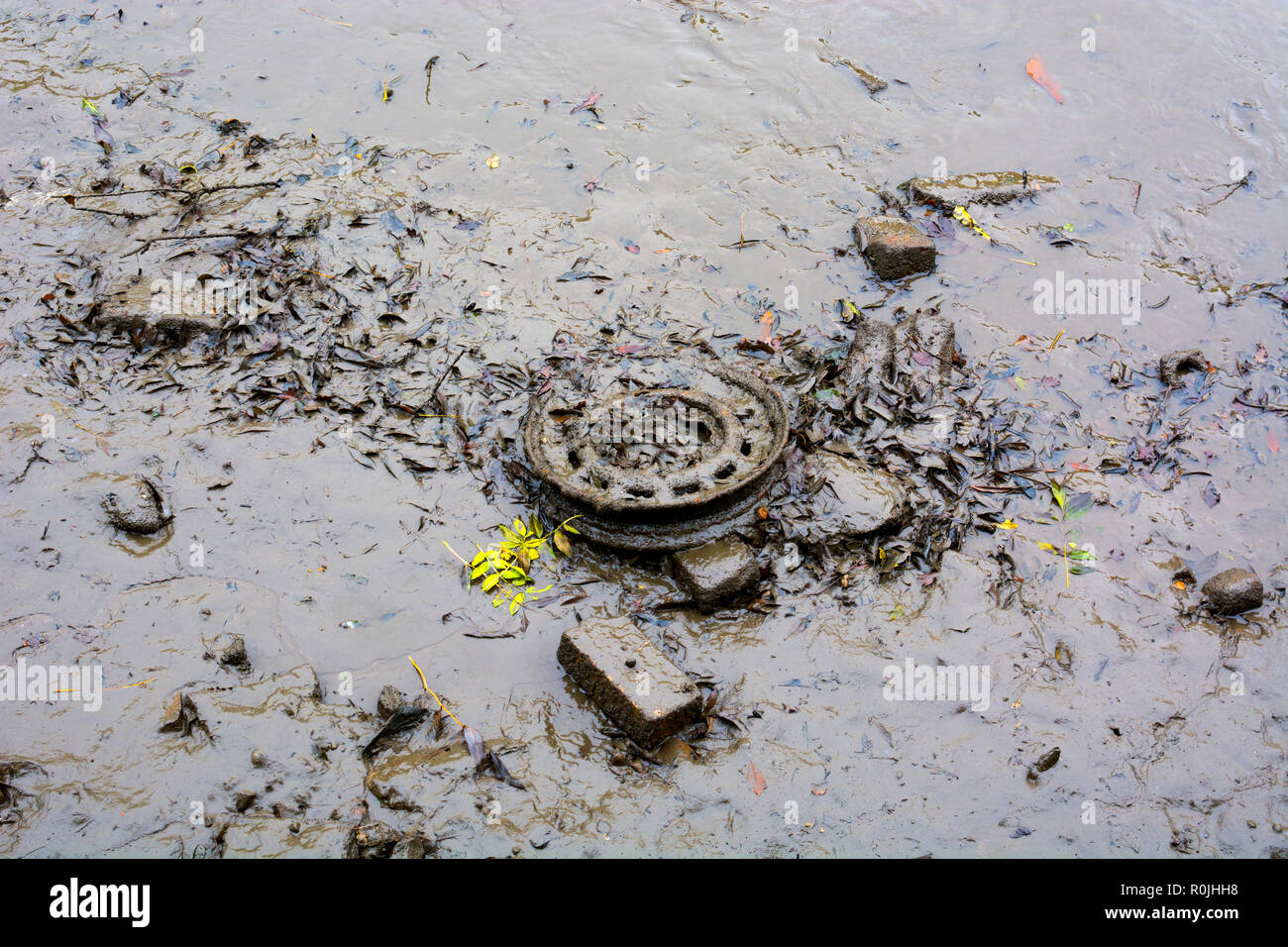 Mud in a drained section of the Grand Union Canal, Hatton Locks ...