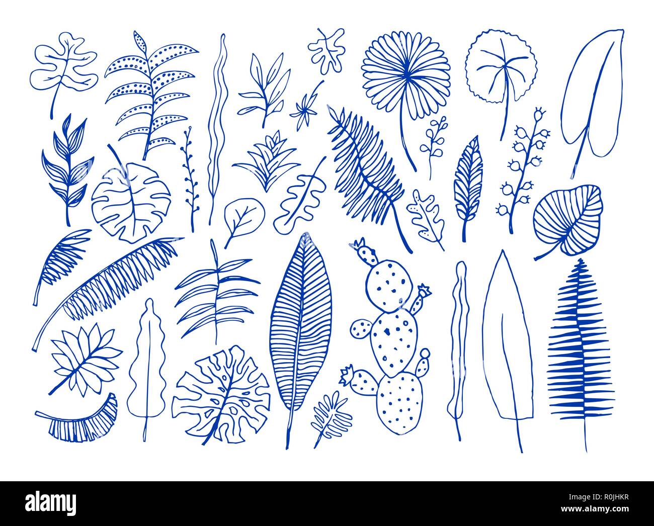 Vector set of hand-drawn bright tropical plants Stock Vector Image ...