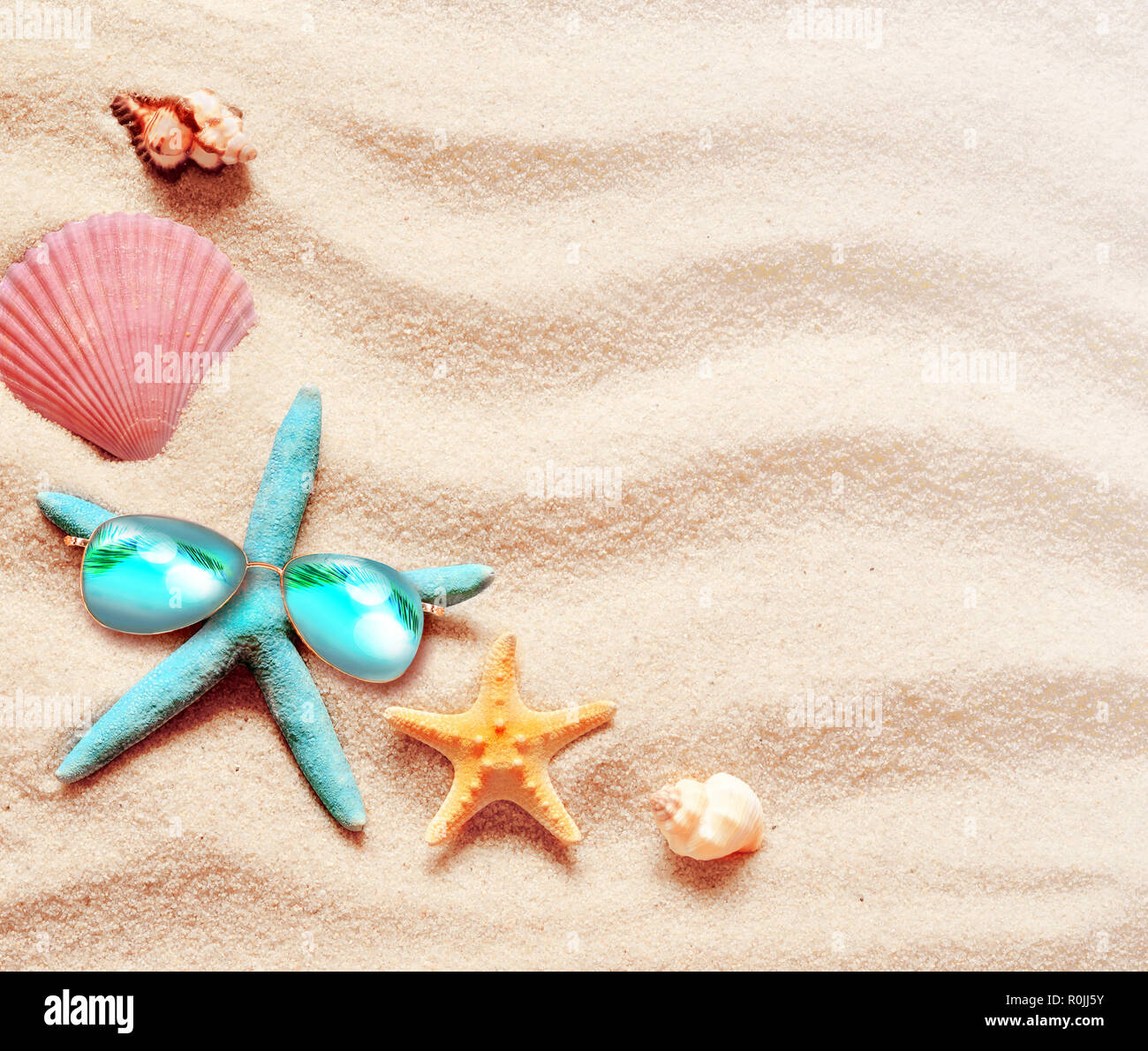 Beach. Summer. Starfish in sunglasses and seashell on the seashore ...