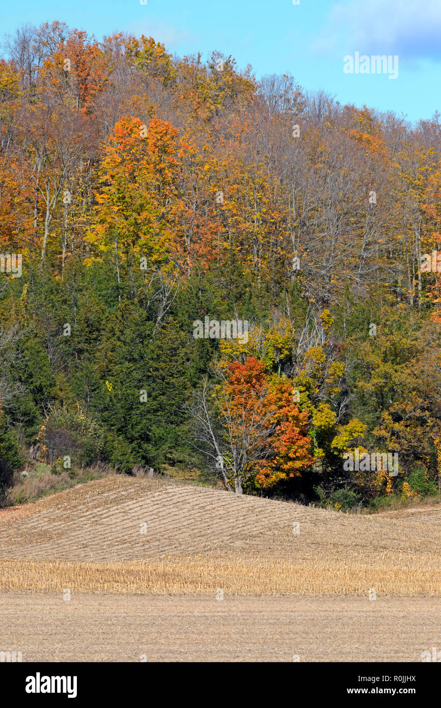 October colours hi-res stock photography and images - Alamy