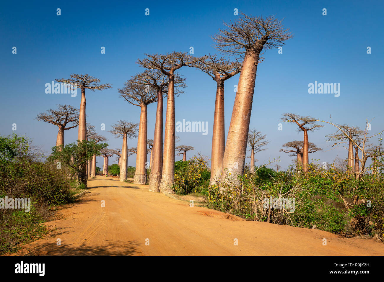 Madagascar Landmark High Resolution Stock Photography and Images - Alamy