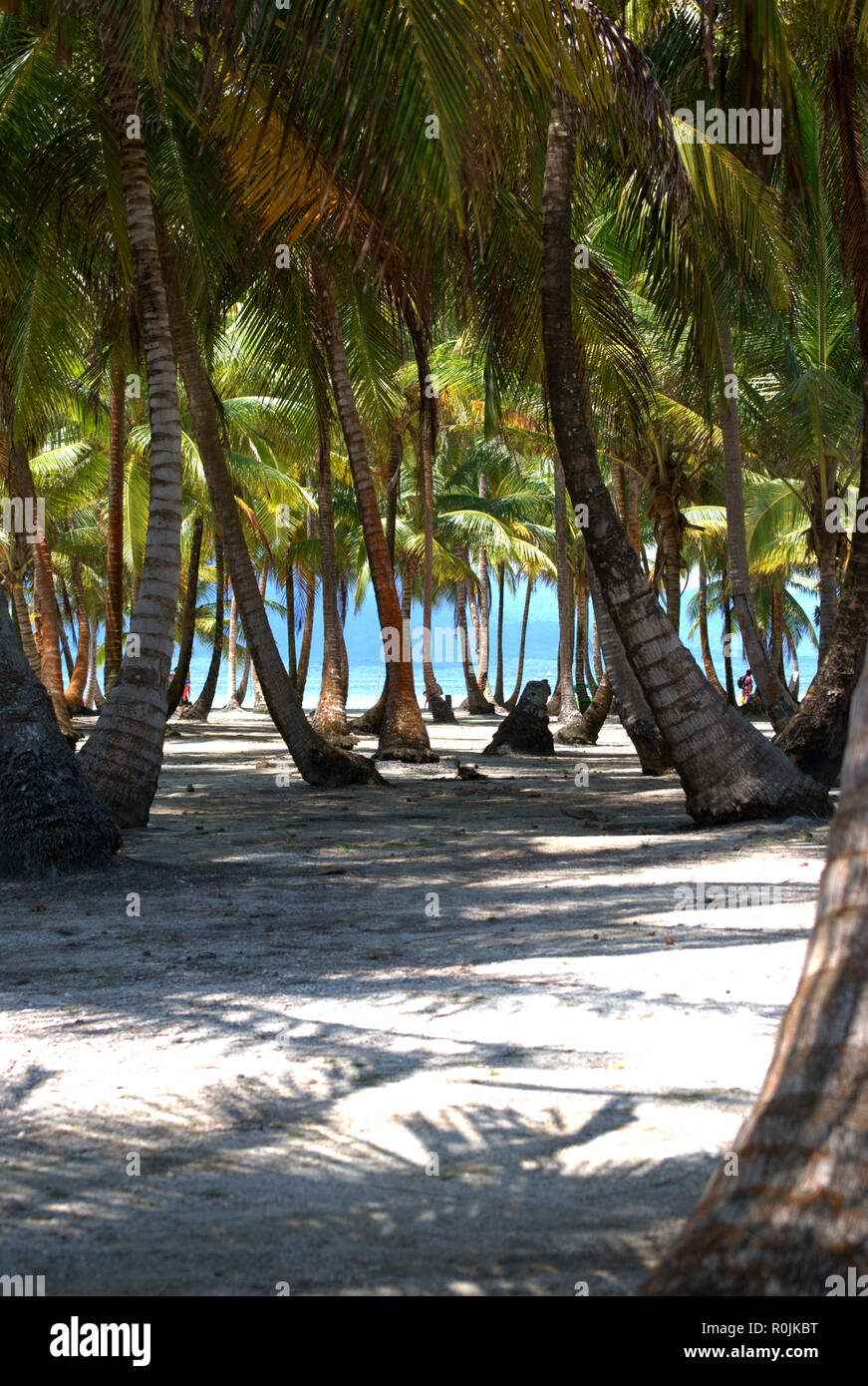 Paradise islands in Guna Yala, Kuna Yala, San Blas, Panama. Coral reef ...
