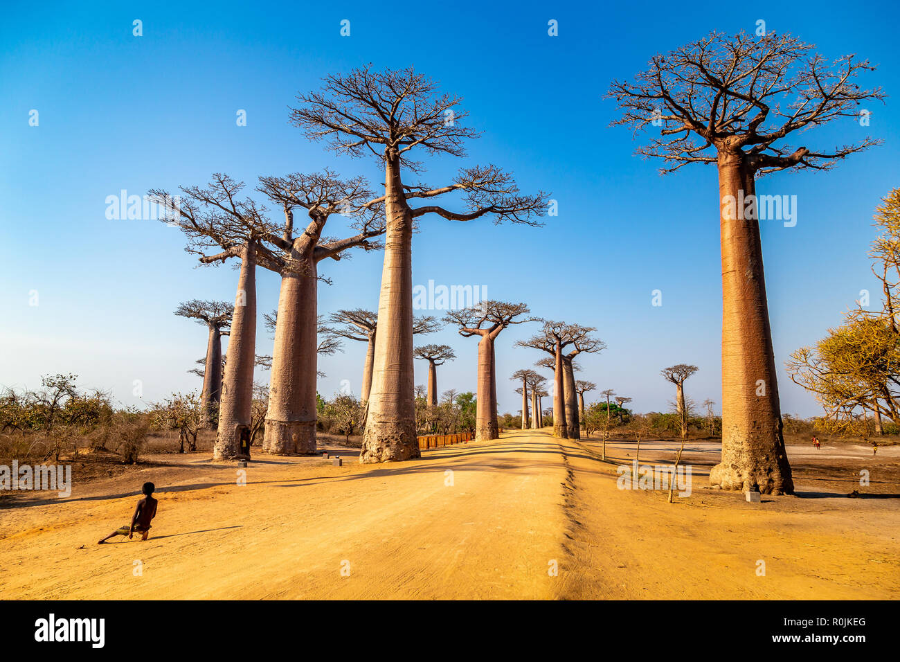 Madagascar Landmark High Resolution Stock Photography and Images - Alamy