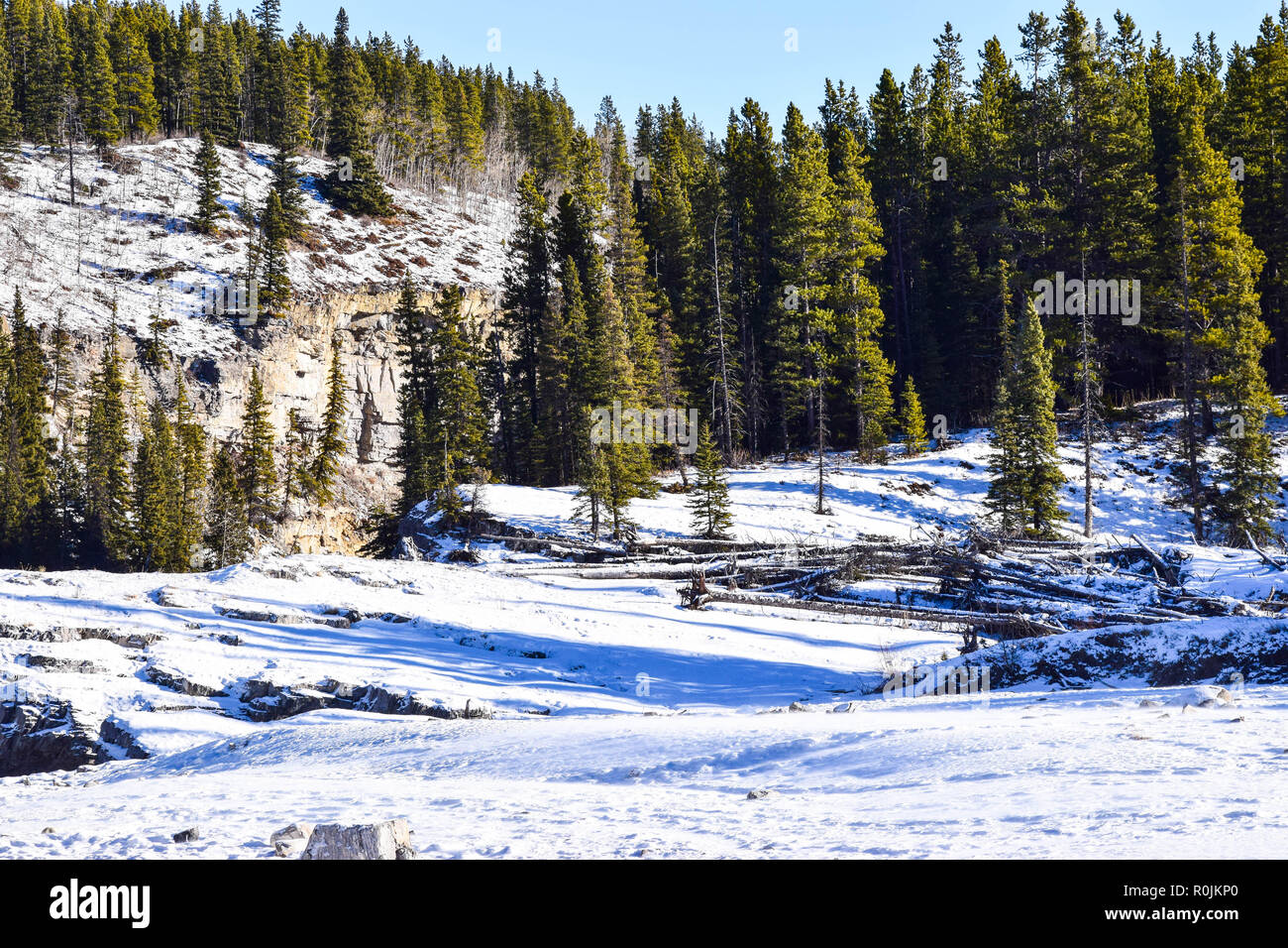 winter scene in the foothills and mountains of the Rockies. Alberta ...