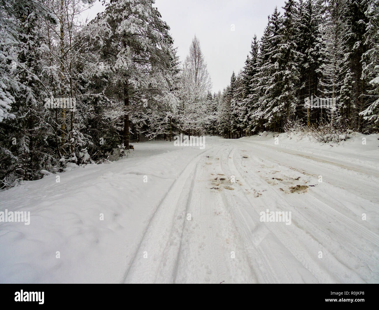 drone image. aerial view of rural area with fields and forests in snowy ...