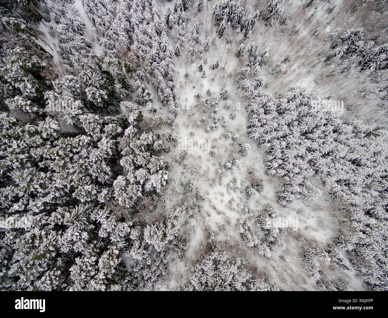 drone image. aerial view of rural area with fields and forests in snowy ...