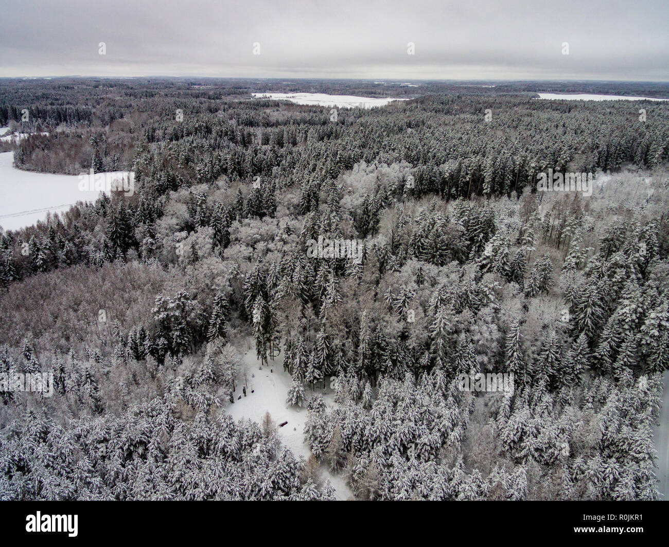 drone image. aerial view of rural area with fields and forests in snowy ...