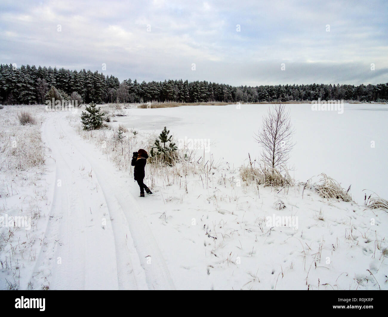 drone image. aerial view of rural area with fields and forests in snowy ...