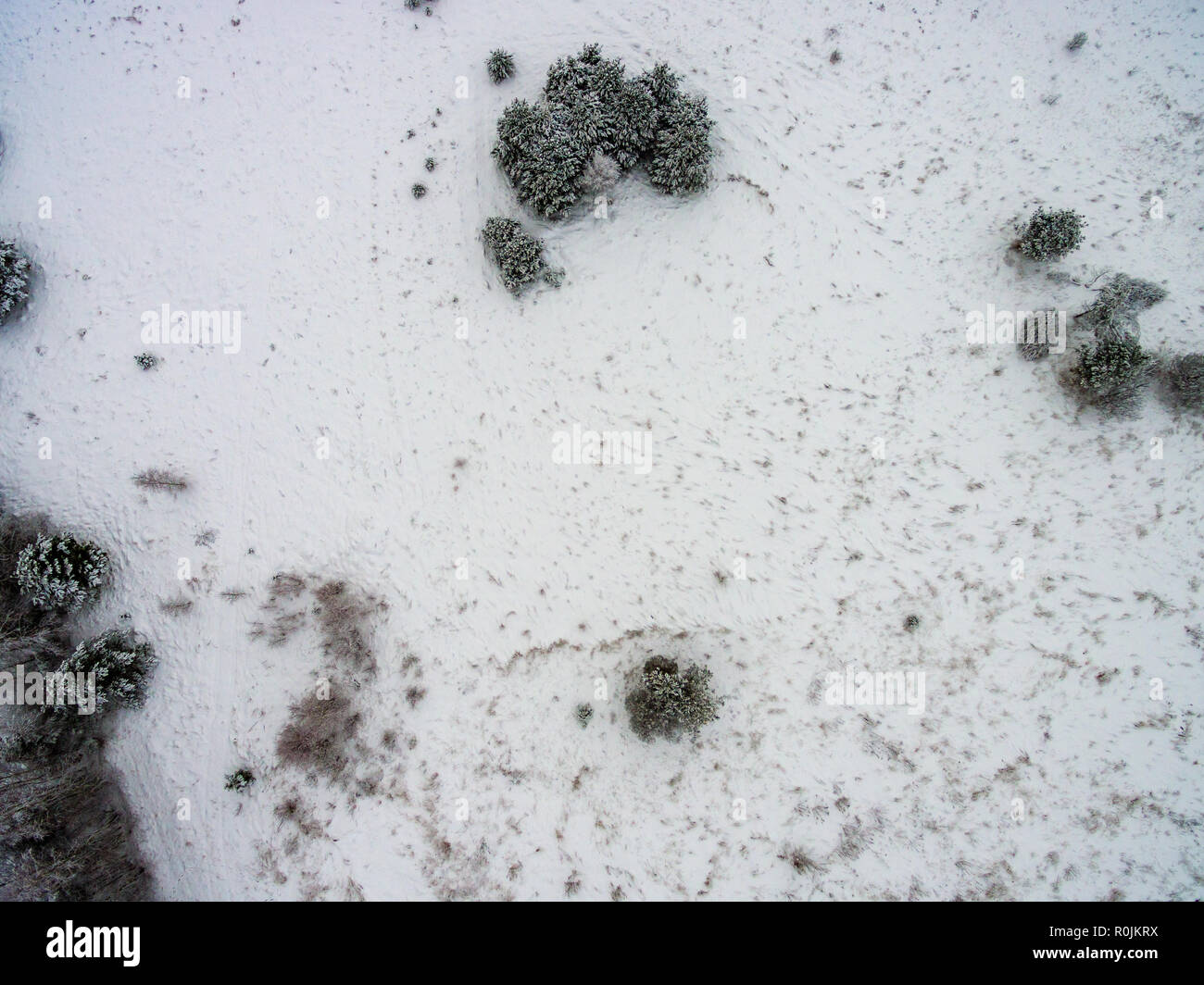 drone image. aerial view of rural area with fields and forests in snowy ...