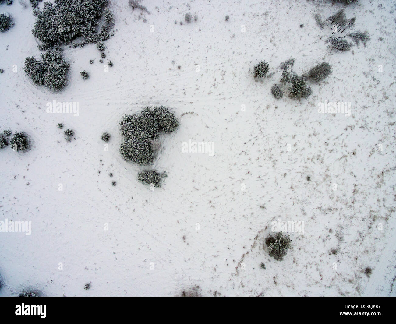 drone image. aerial view of rural area with fields and forests in snowy ...