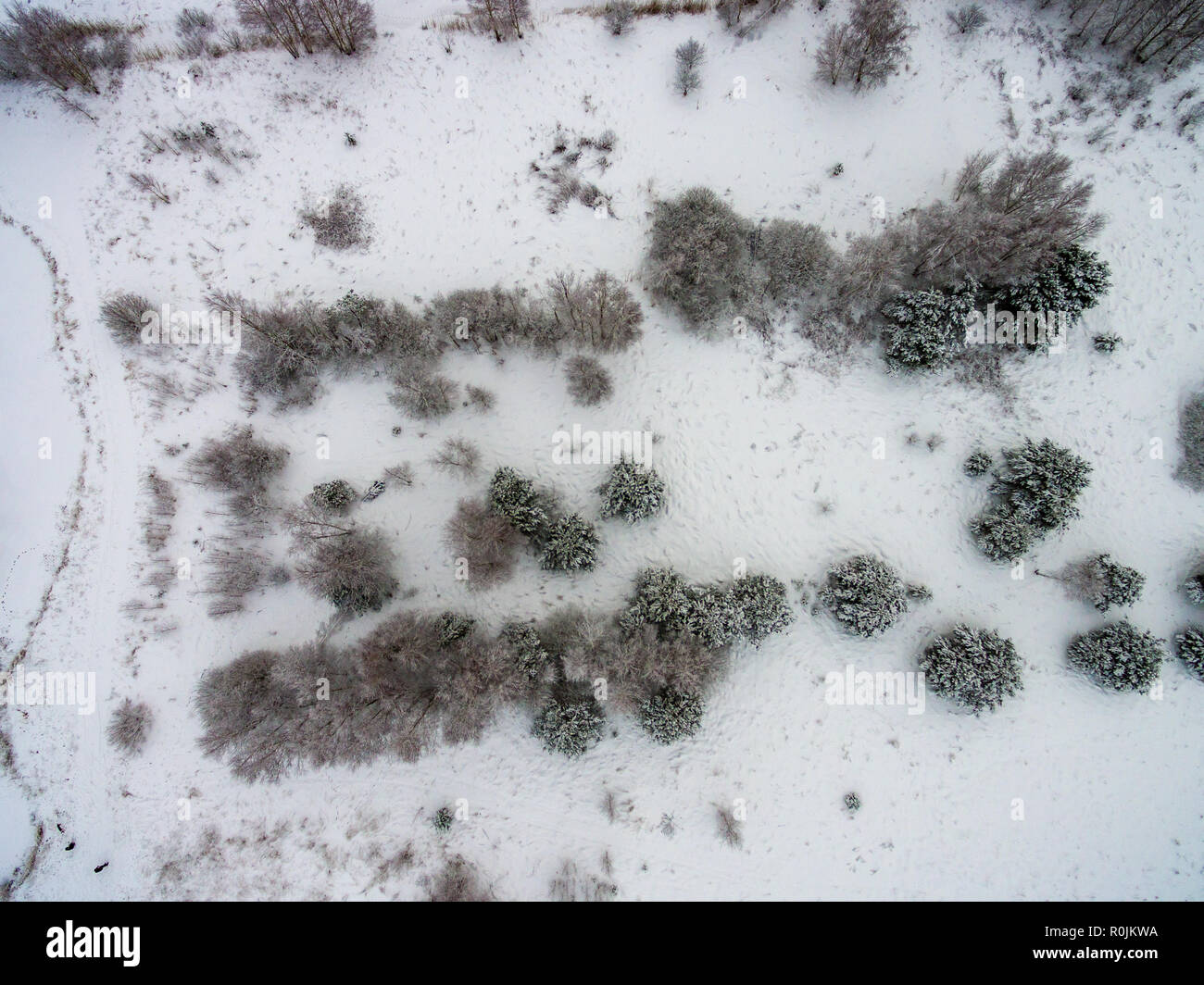drone image. aerial view of rural area with fields and forests in snowy ...