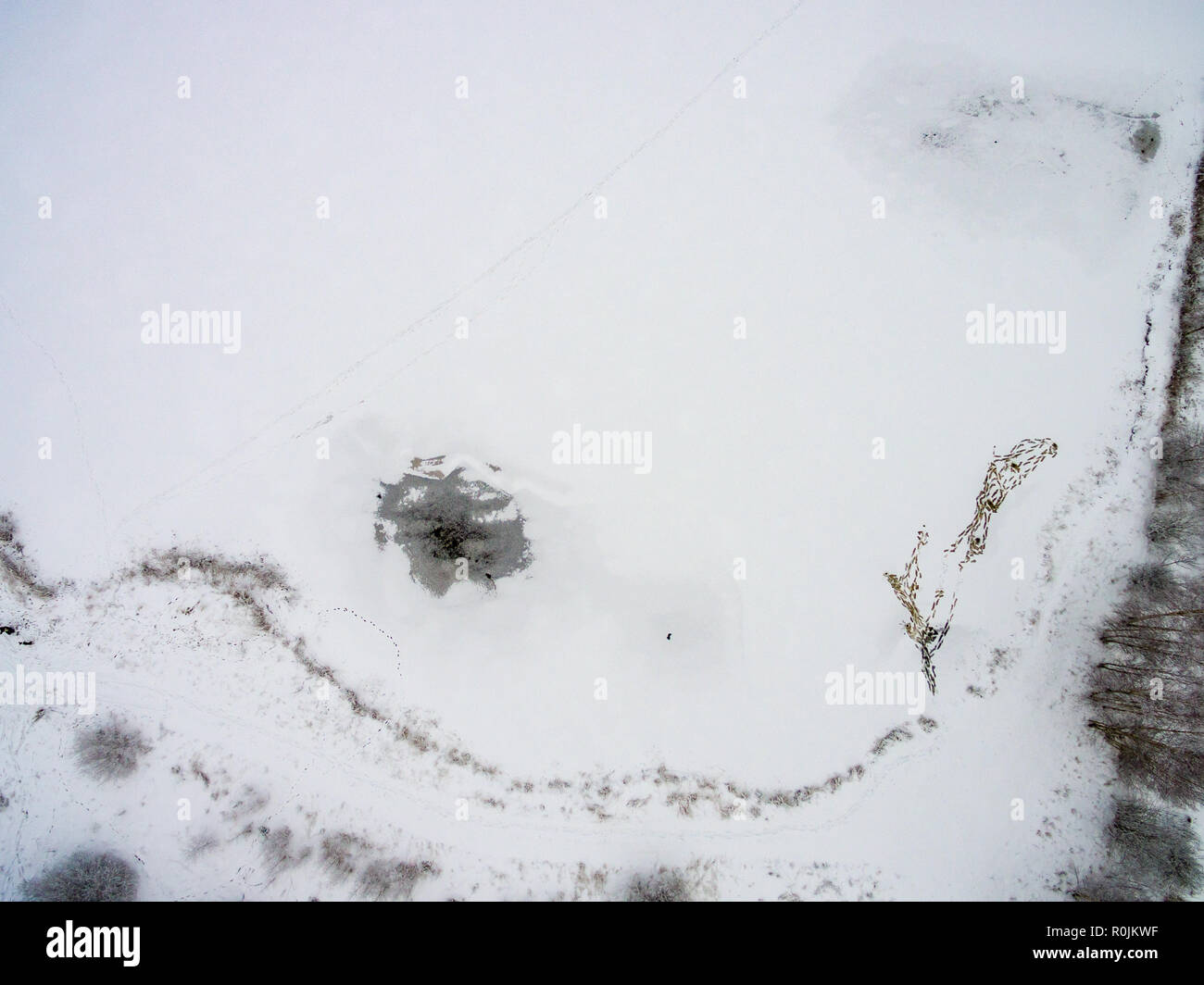 drone image. aerial view of rural area with fields and forests in snowy ...