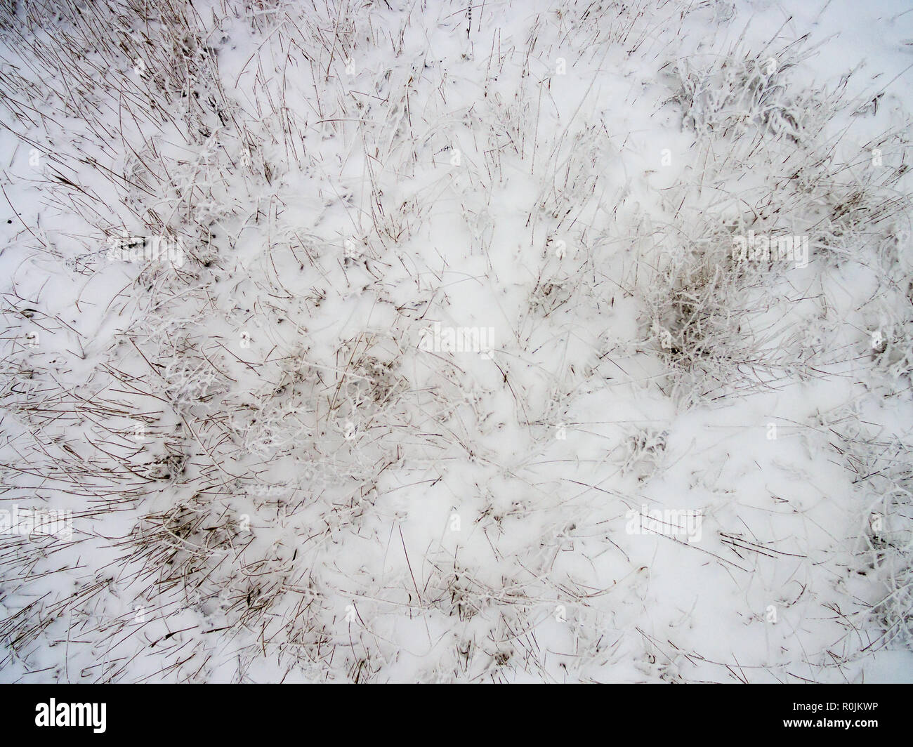 drone image. aerial view of rural area with fields and forests in snowy ...