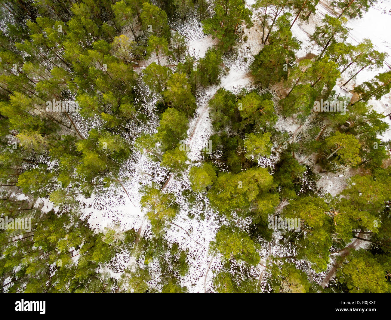 drone image. aerial view of rural area with fields and forests in snowy ...