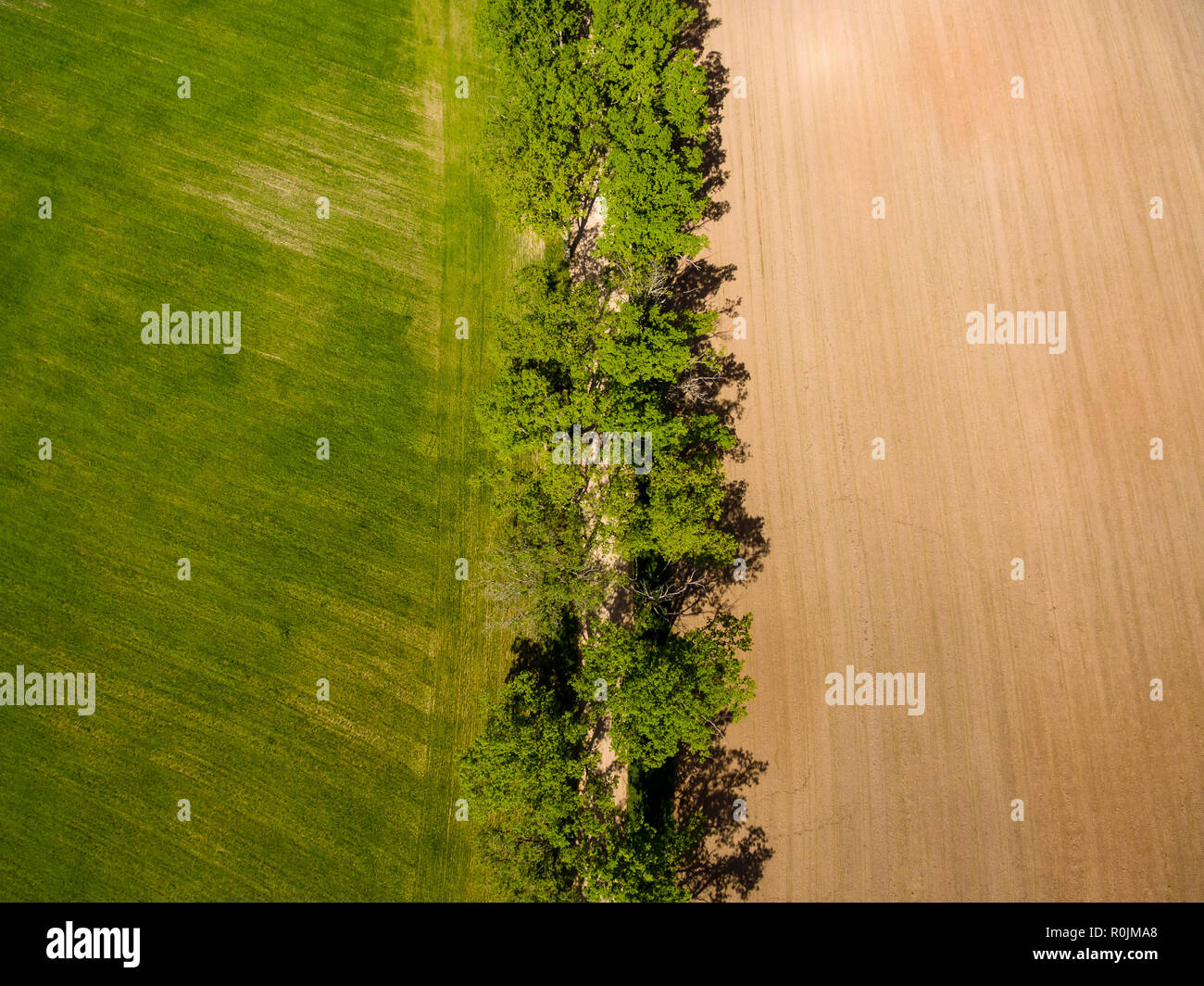 drone image. aerial view of rural area with fields and forests and ...