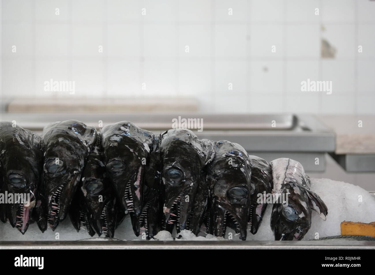 Sword fish in Mercado dos Lavradores Stock Photo - Alamy