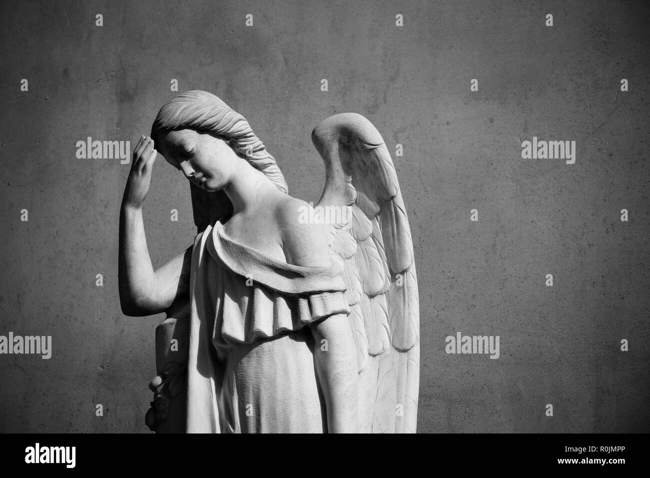 Weeping wing hi-res stock photography and images - Alamy