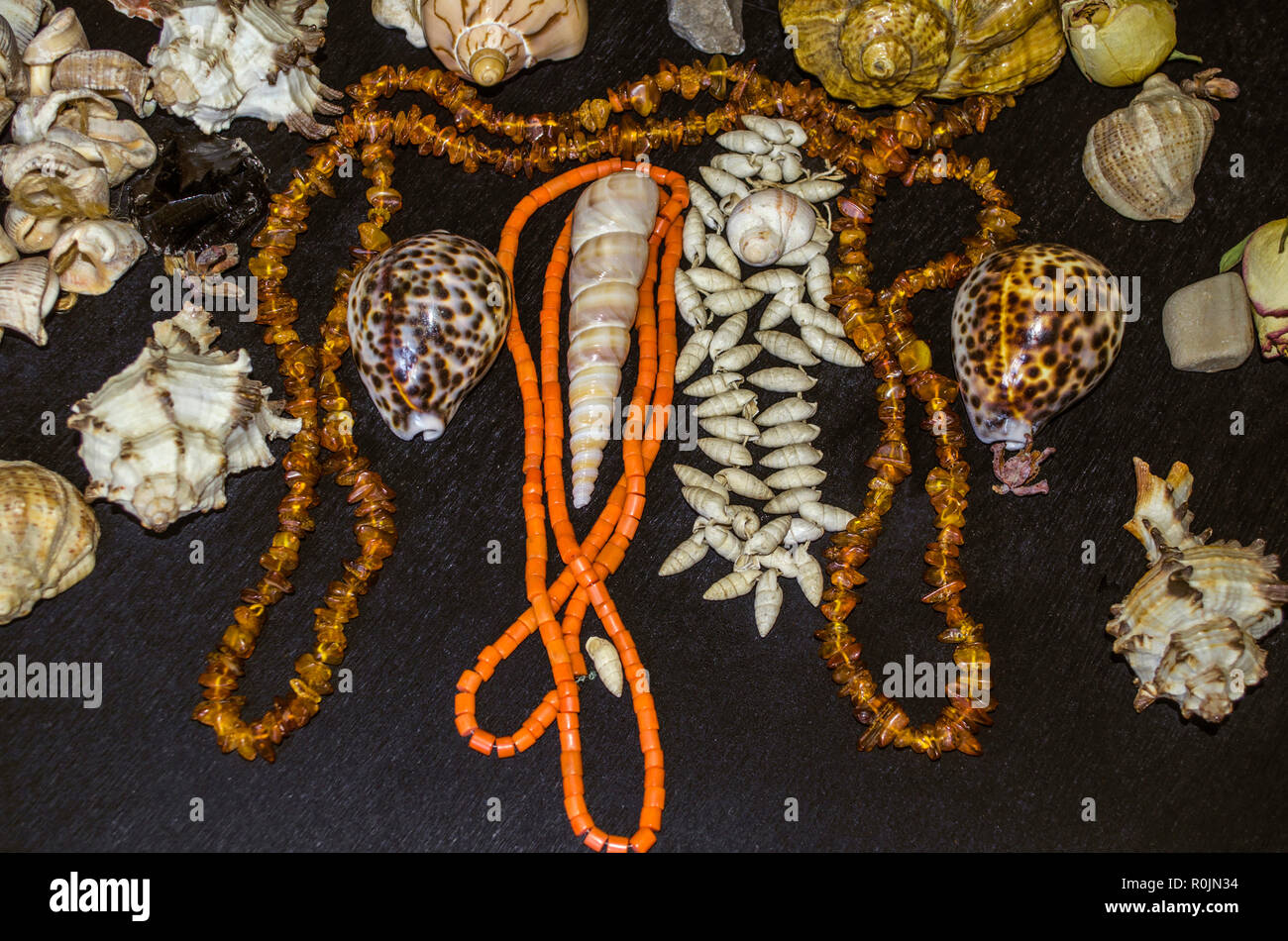 Amber and coral beads with shells and stones from different seas and ...