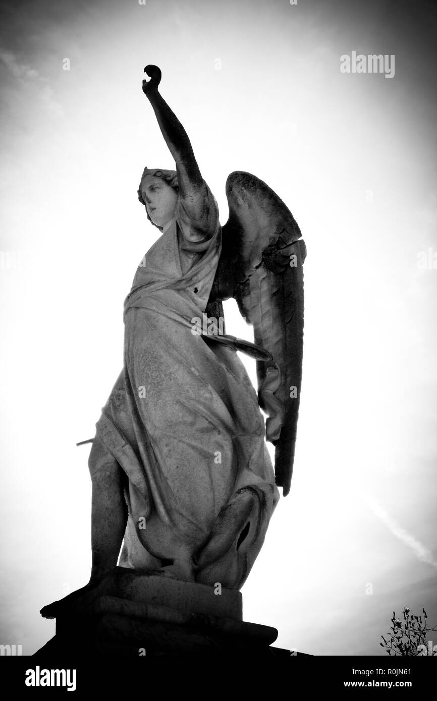 Angel statue back view Black and White Stock Photos & Images - Alamy