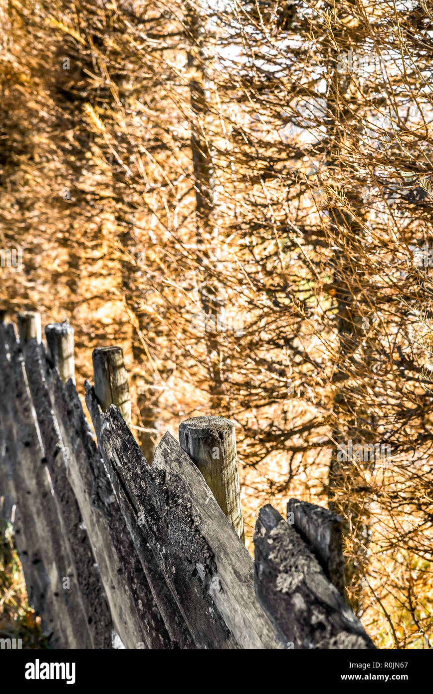 Old fashioned fence hi-res stock photography and images - Alamy