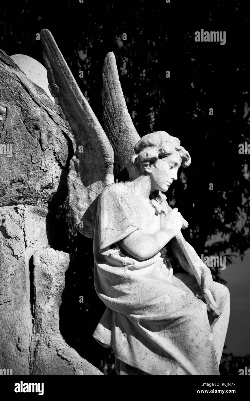 Back of cherub statue hi-res stock photography and images - Alamy