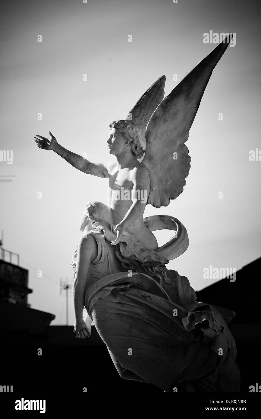 Back of cherub statue hi-res stock photography and images - Alamy