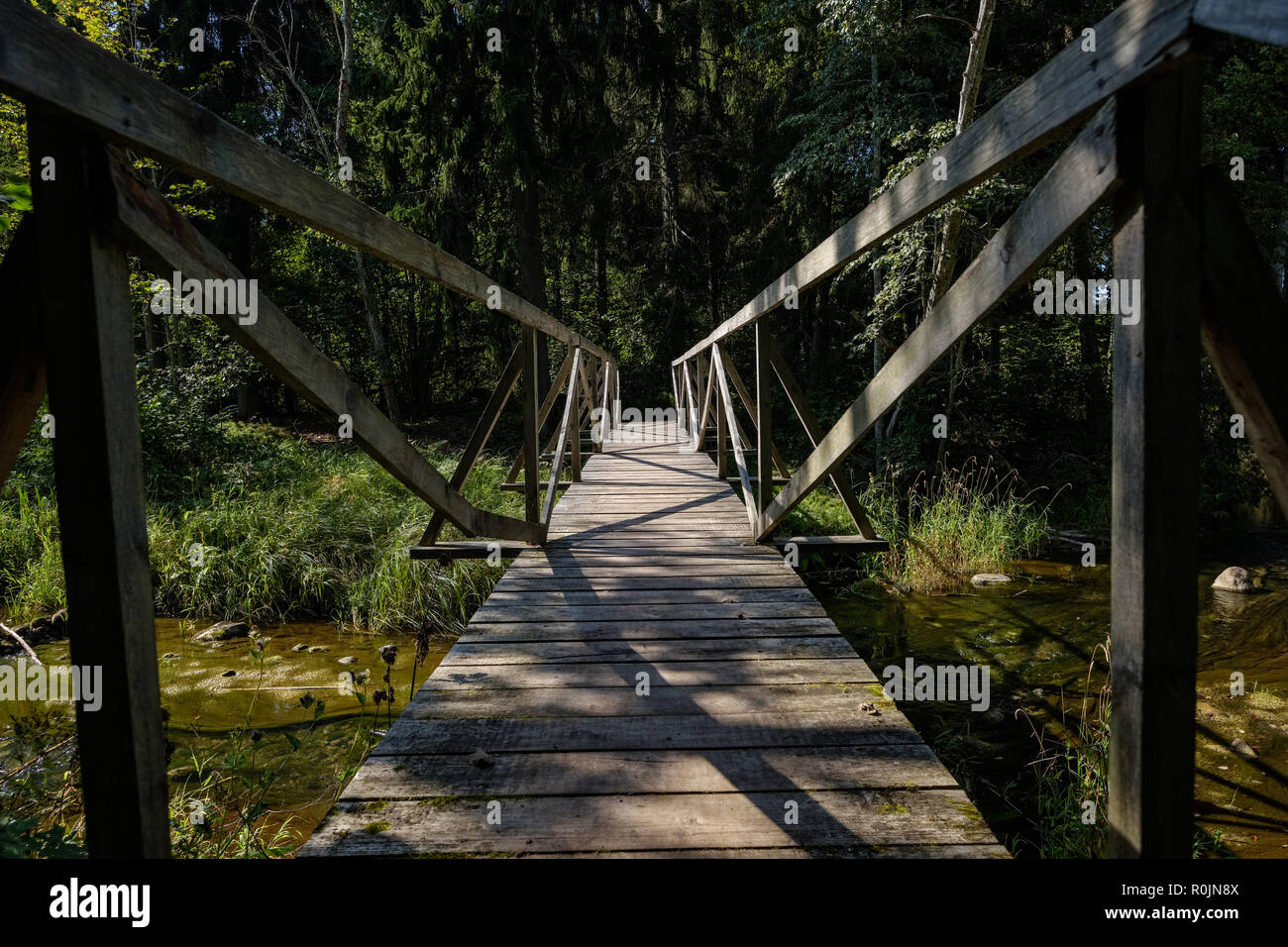 wooden plank bridge over water in forest in autumn with grey colors ...