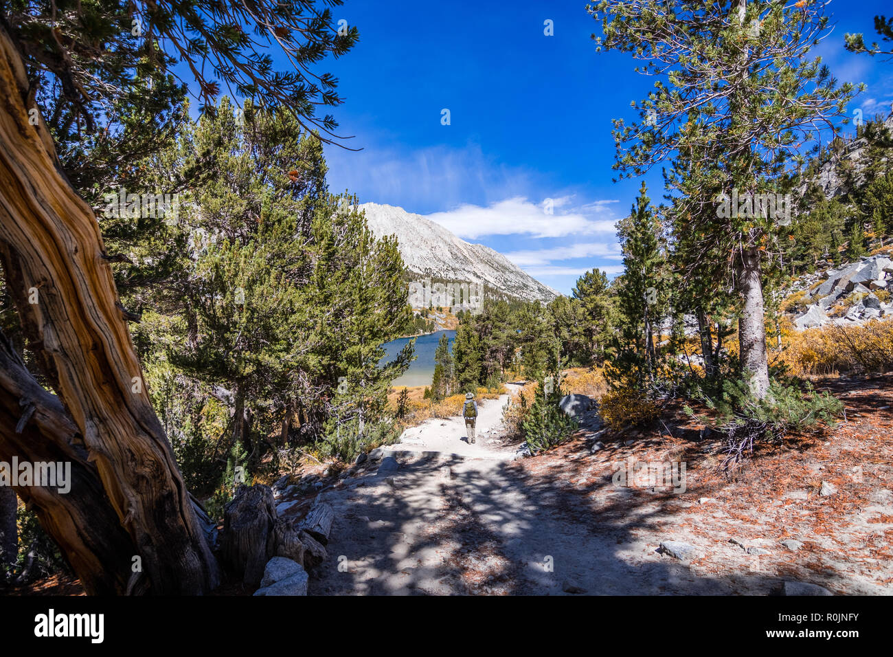 Hiking trail following the shoreline of Long Lake, Little Lakes Valley ...