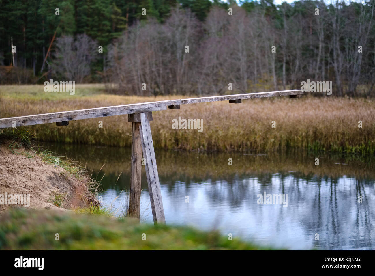 wooden plank bridge over water in forest in autumn with grey colors ...