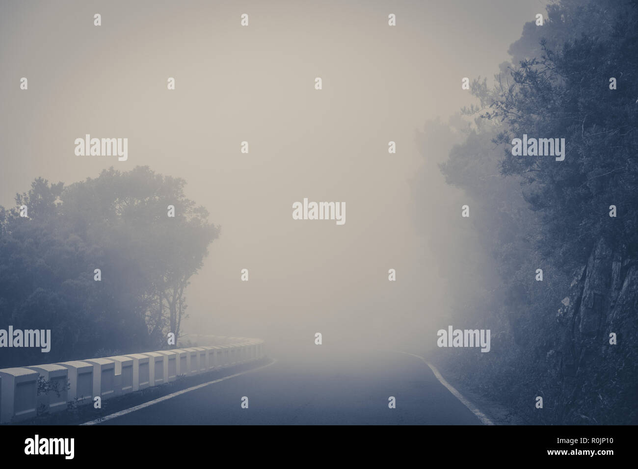 Road misty forest hi-res stock photography and images - Alamy