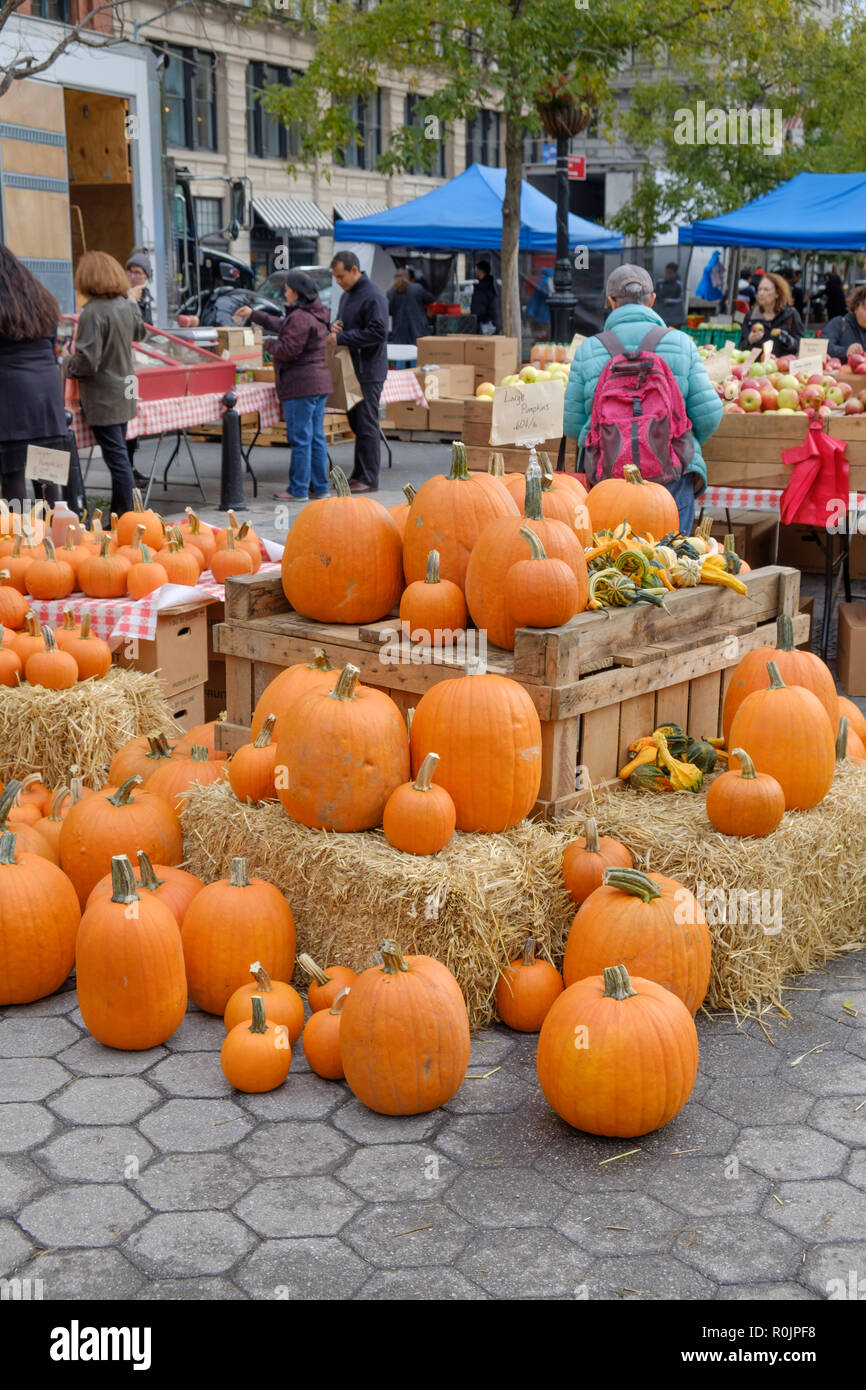 New york november pumpkin hi-res stock photography and images - Alamy