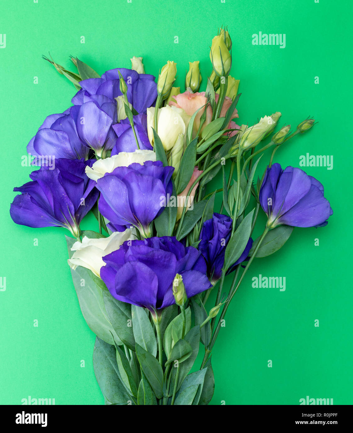 bouquet of flowers Eustoma Lisianthus on a green background Stock Photo ...