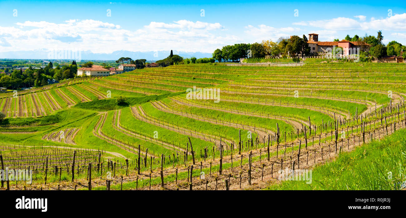 Buttrio hi-res stock photography and images - Alamy