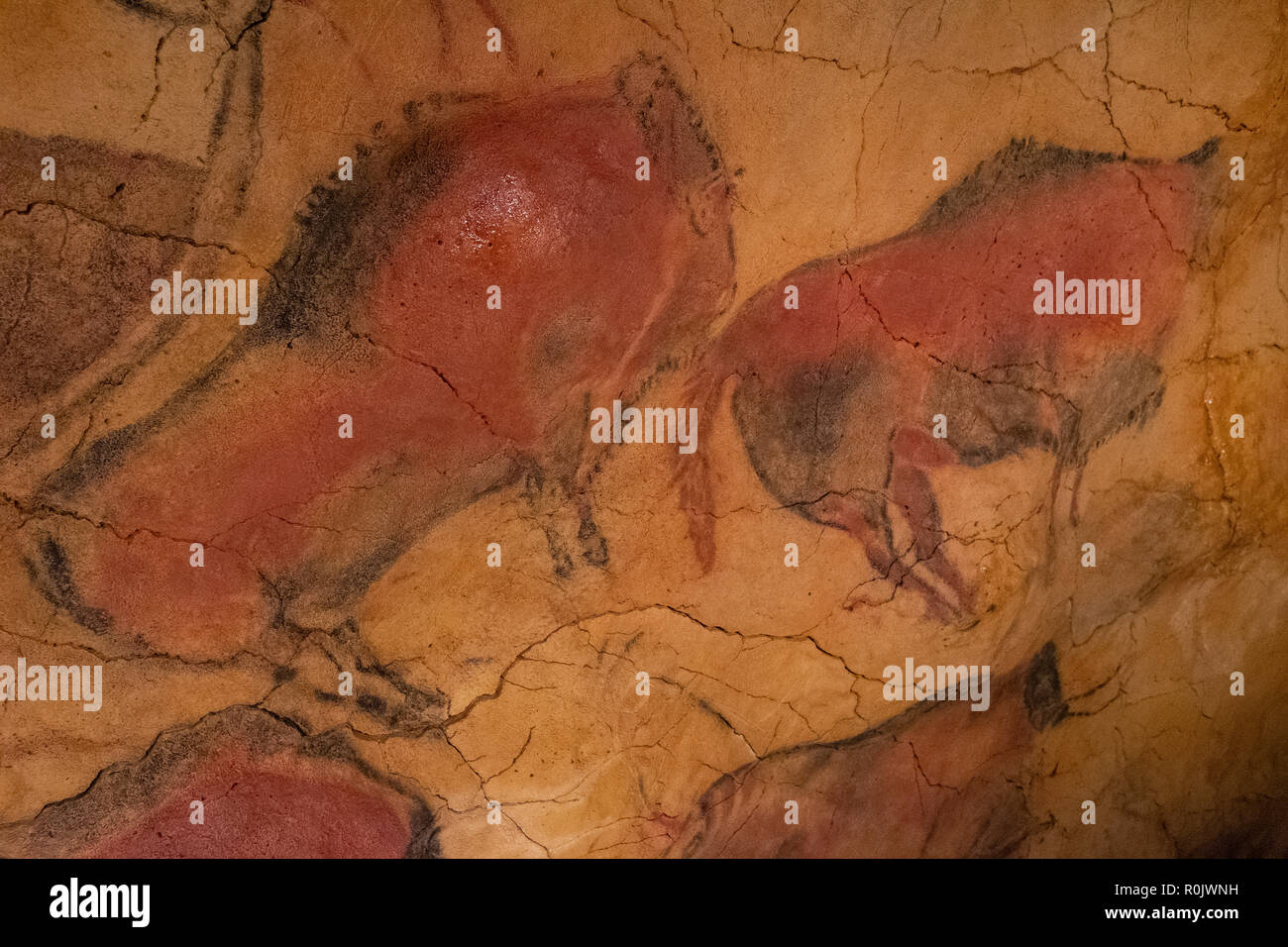 Altamira cave paintings hi-res stock photography and images - Alamy