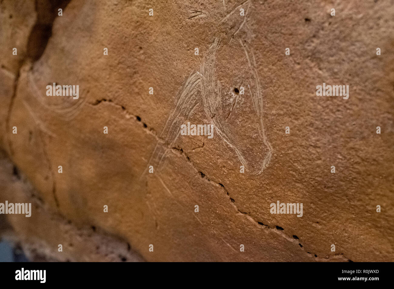 Altamira museum hi-res stock photography and images - Alamy