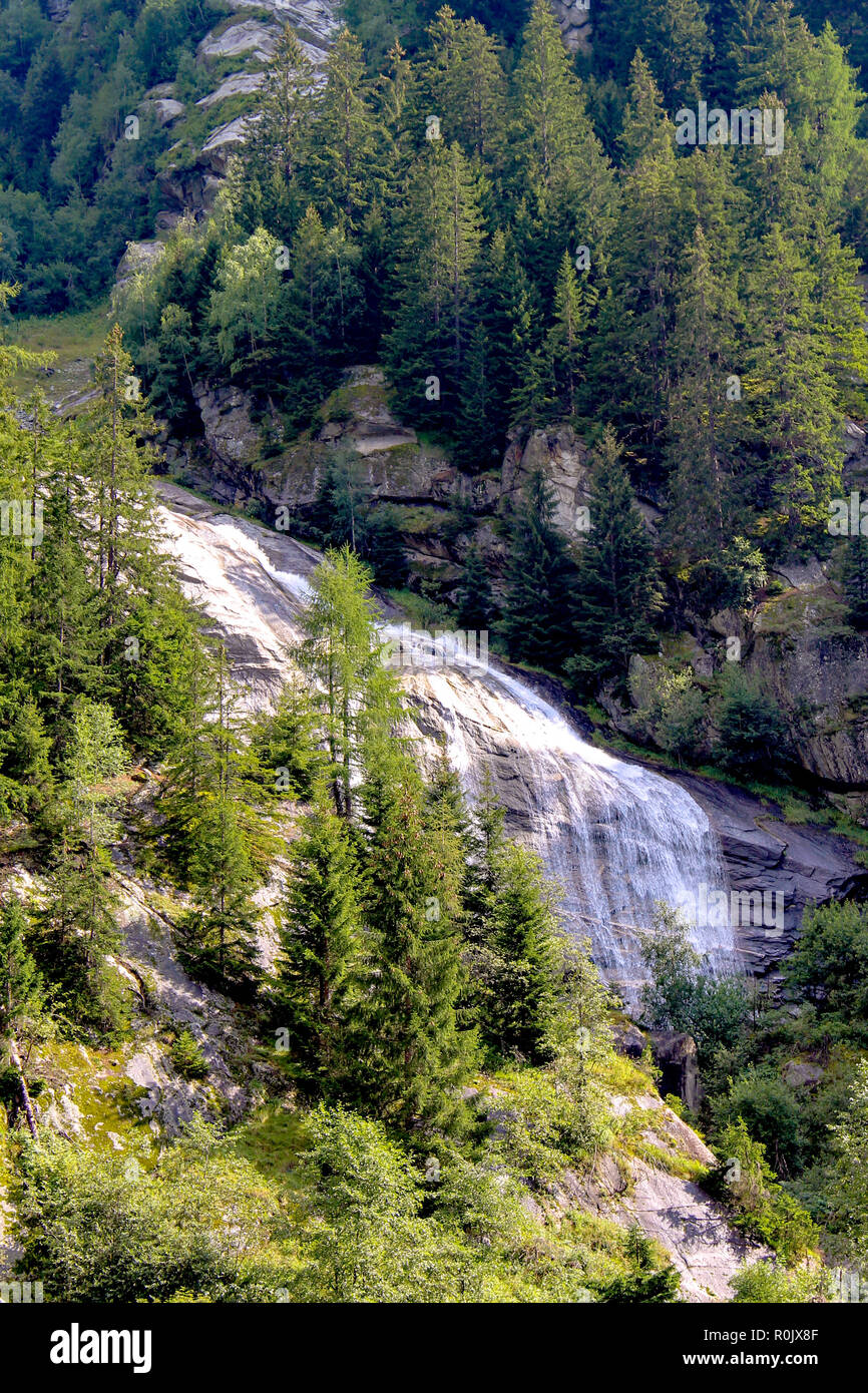 Beautiful waterfall in the mountain surrounded by pine trees Stock ...