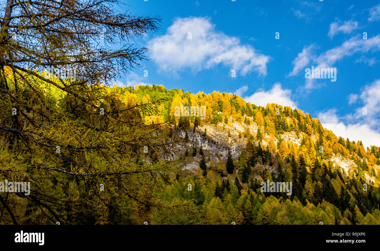 autumn landscape in Val Gardena with a trees in autumn colors. Location ...