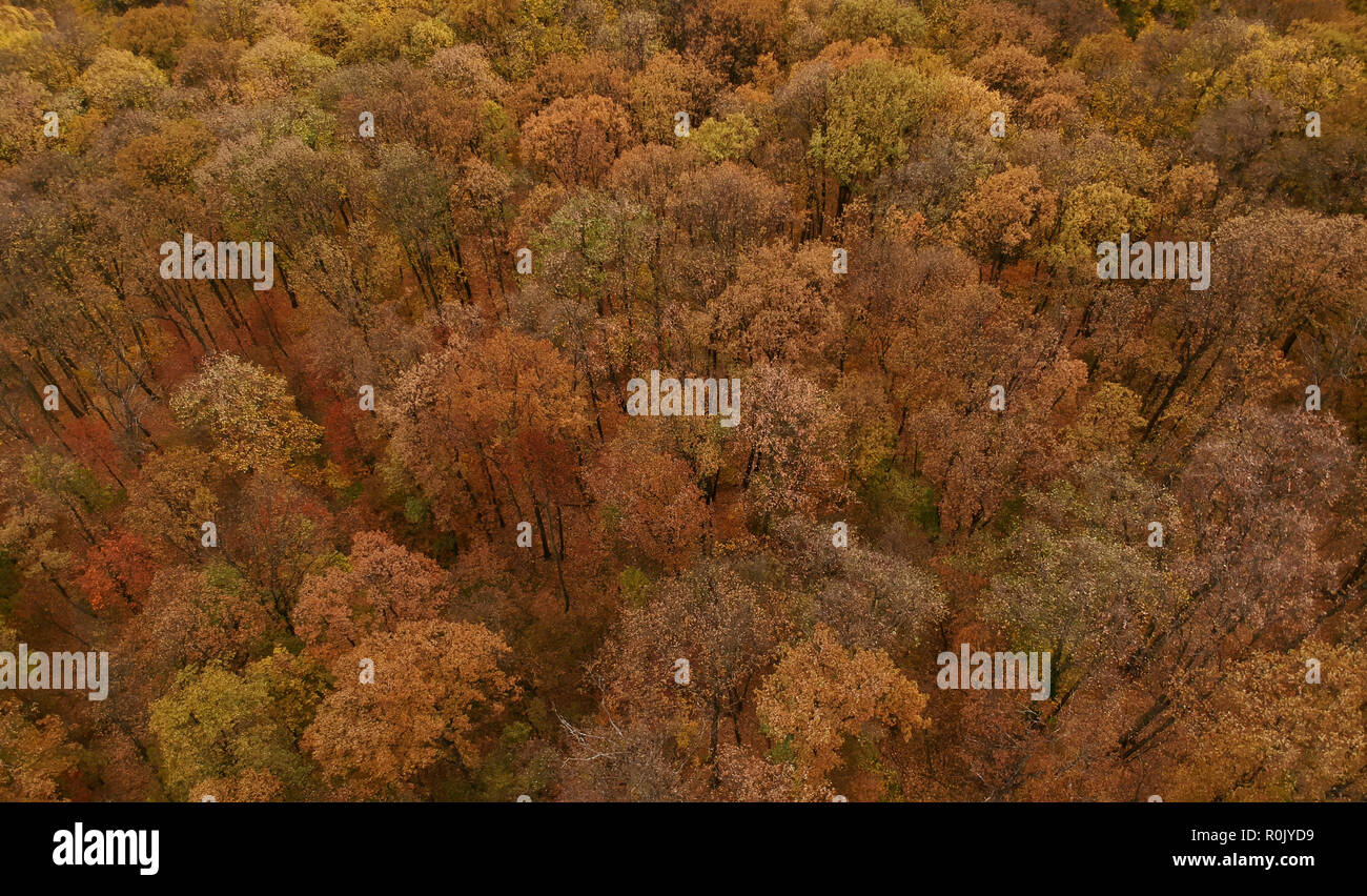 Aerial landscape view colored maple hi-res stock photography and images ...